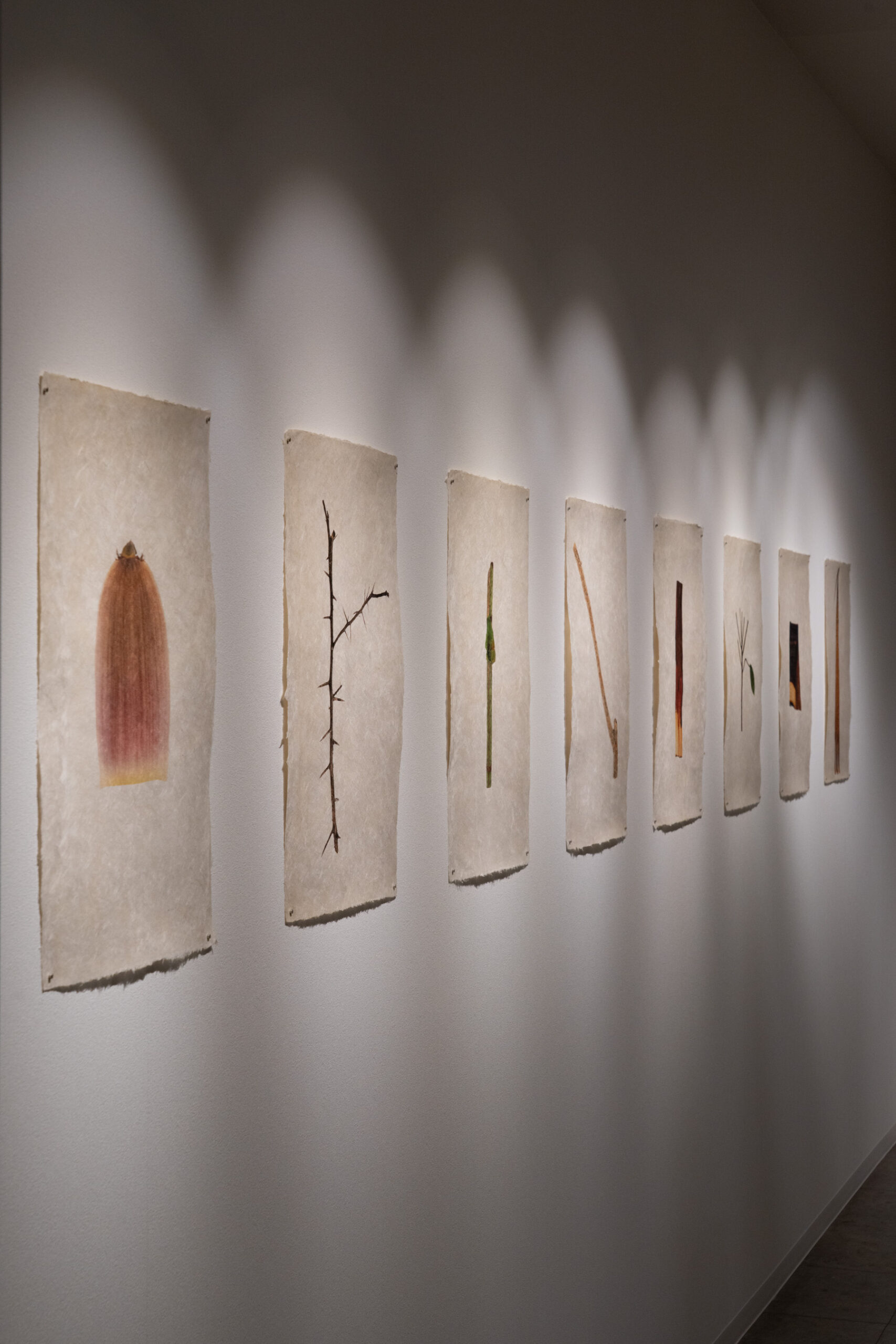 still life-size | Material Forest